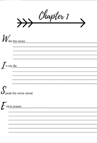 Proverbs Study Guide – Amy D Terry