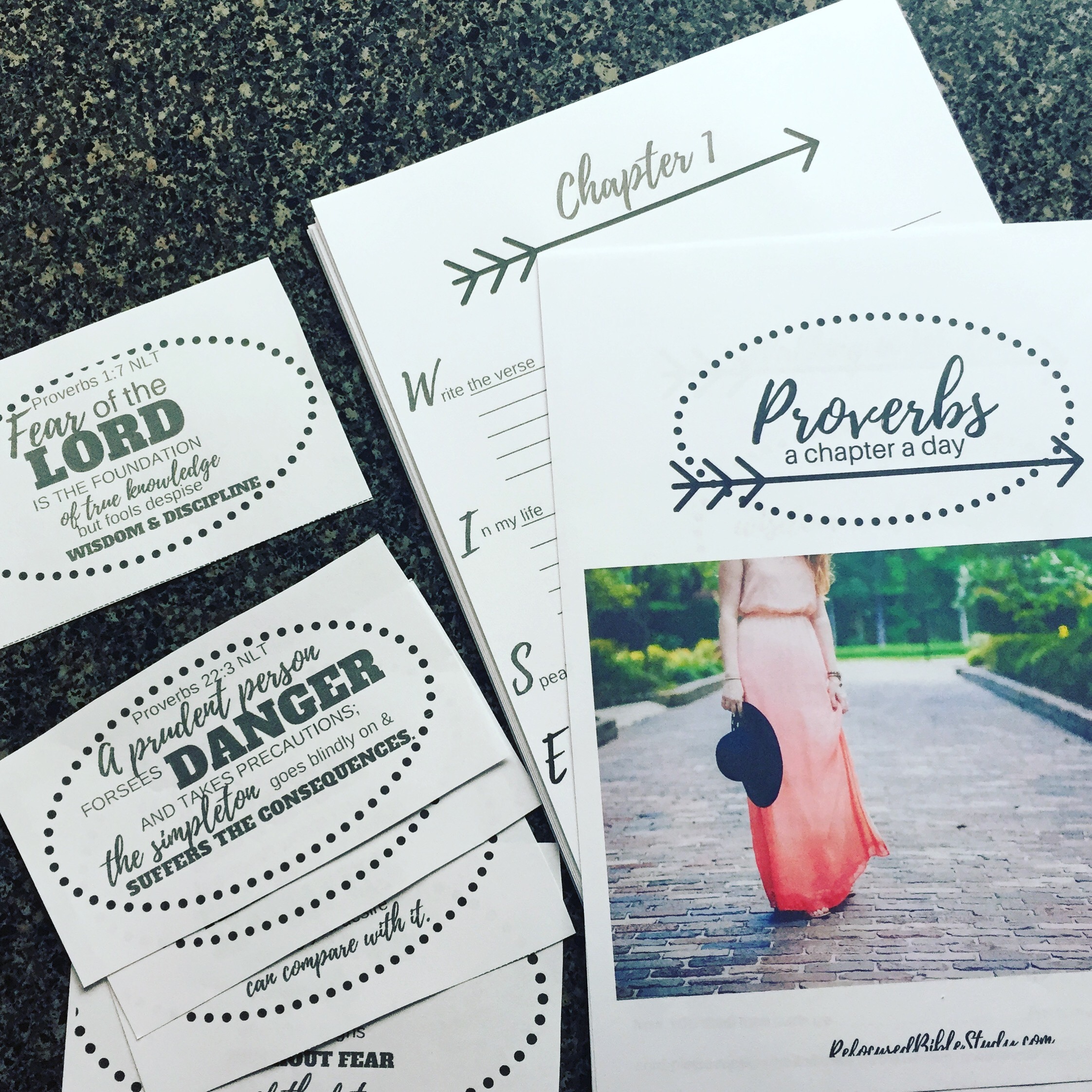 Proverbs Study Guide – Amy D Terry